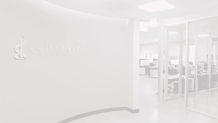 Expertise | Echelon Consulting, L.L.C.